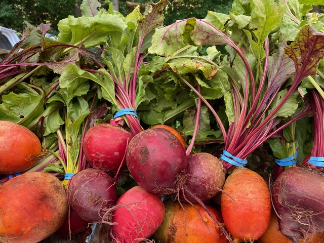 How to Roast (and easily peel) Beets – FeedMeGuideMe